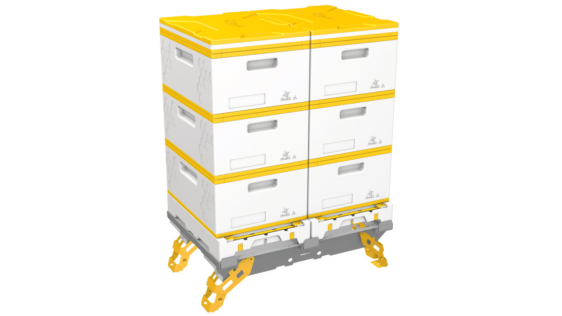 HiveIQ AU - Beehives and Beekeeping Supplies - For Healthy Bees